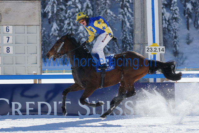 Der schwer gestürzte Jockey Filip Minarik braucht unsere Hilfe ...